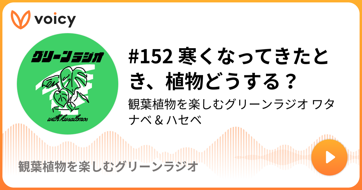 152 寒くなってきたとき、植物どうする？ 観葉植物を楽しむグリーンラジオ ワタナベ And ハセベ「観葉植物を楽しむグリーンラジオ